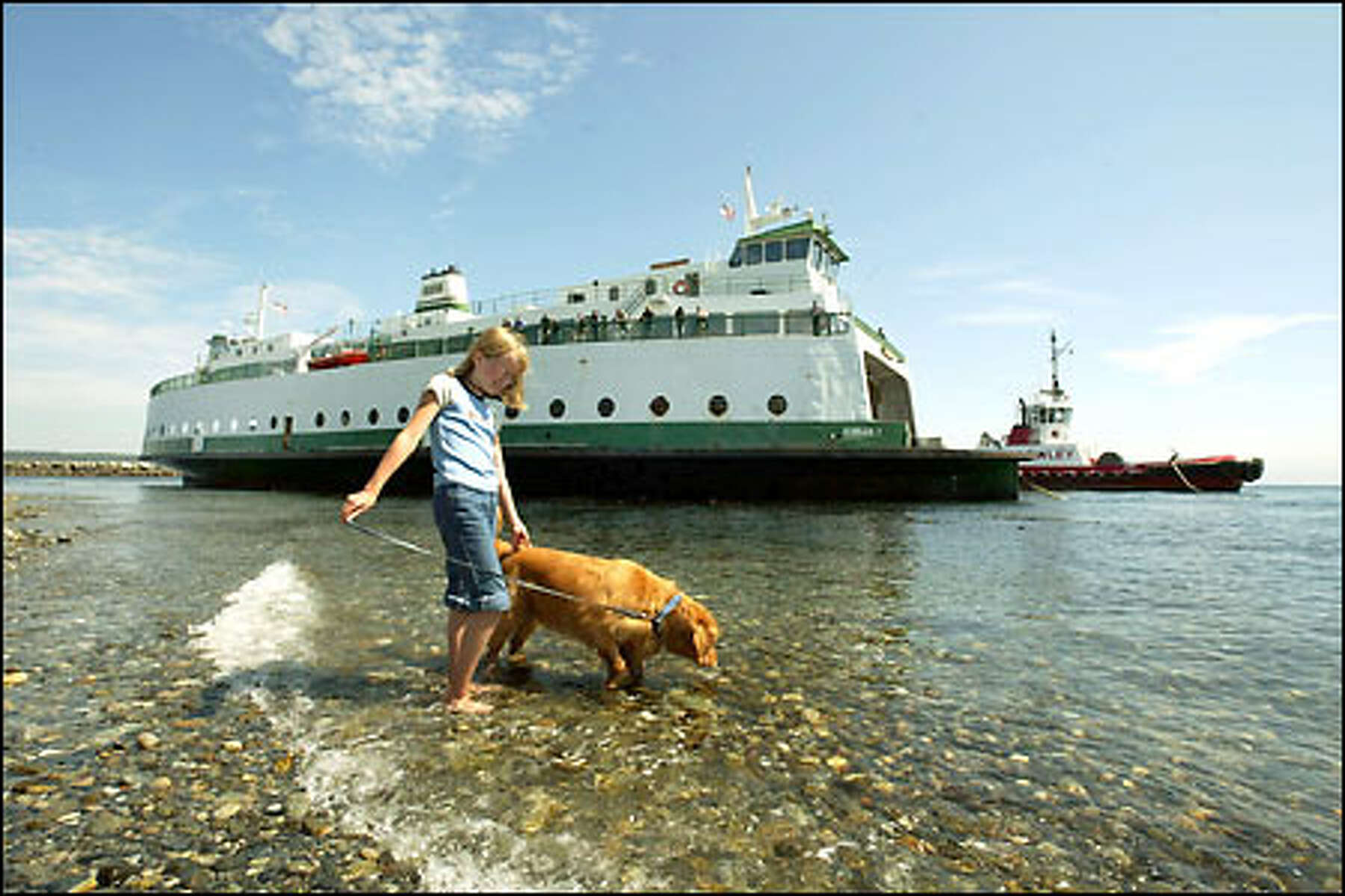 Can You Take A Dog On A Washington State Ferry