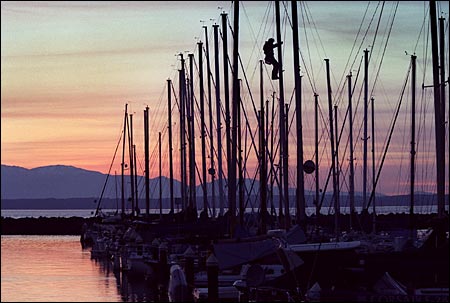 Arid summer withers away