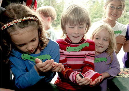 Bugs have a lot to teach us, pupils learn