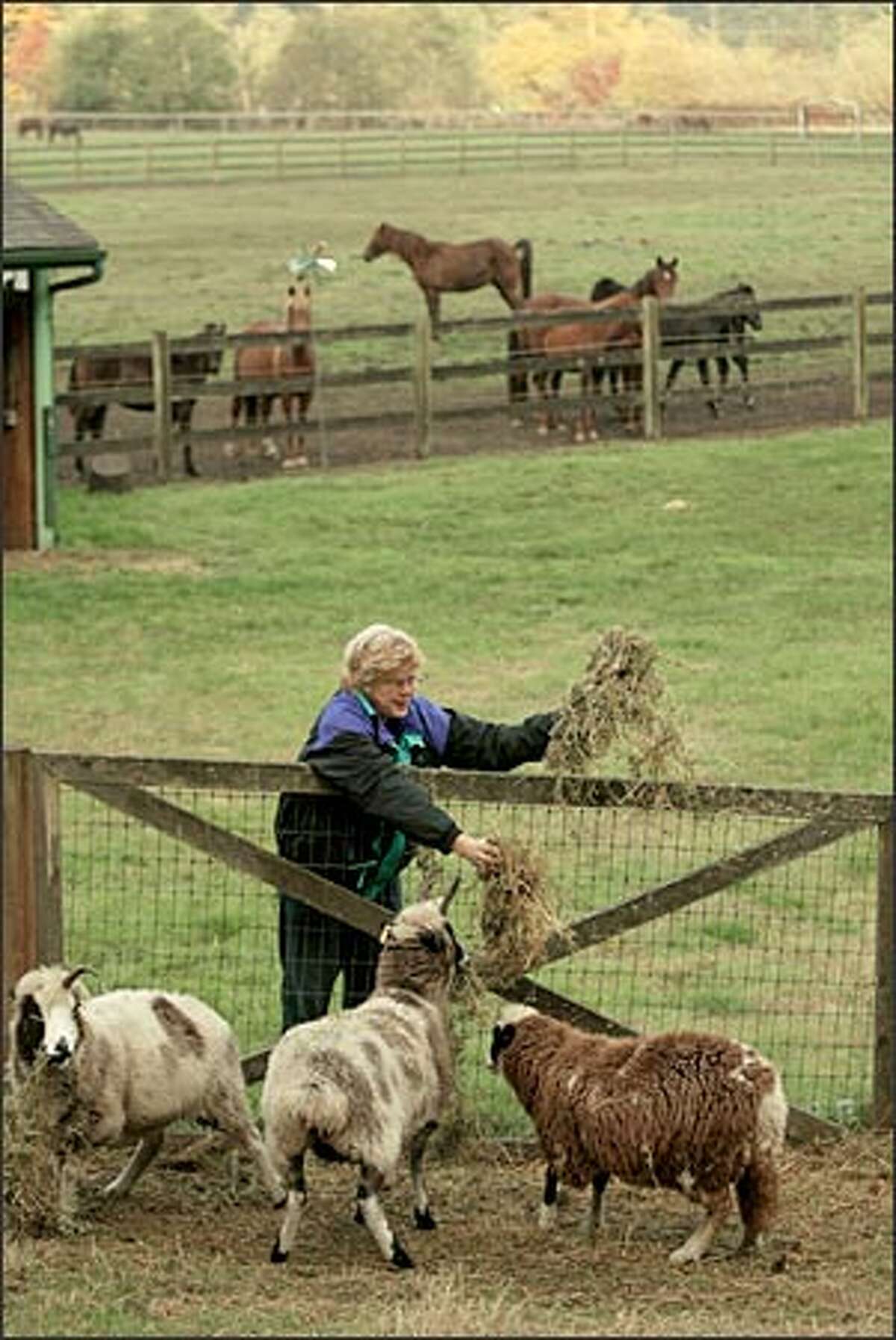 Rare farm animals enjoy a resurgence