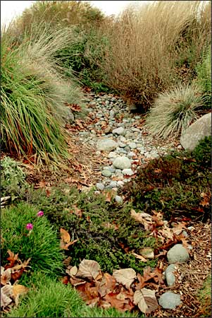 Design ideas flow from redirecting water