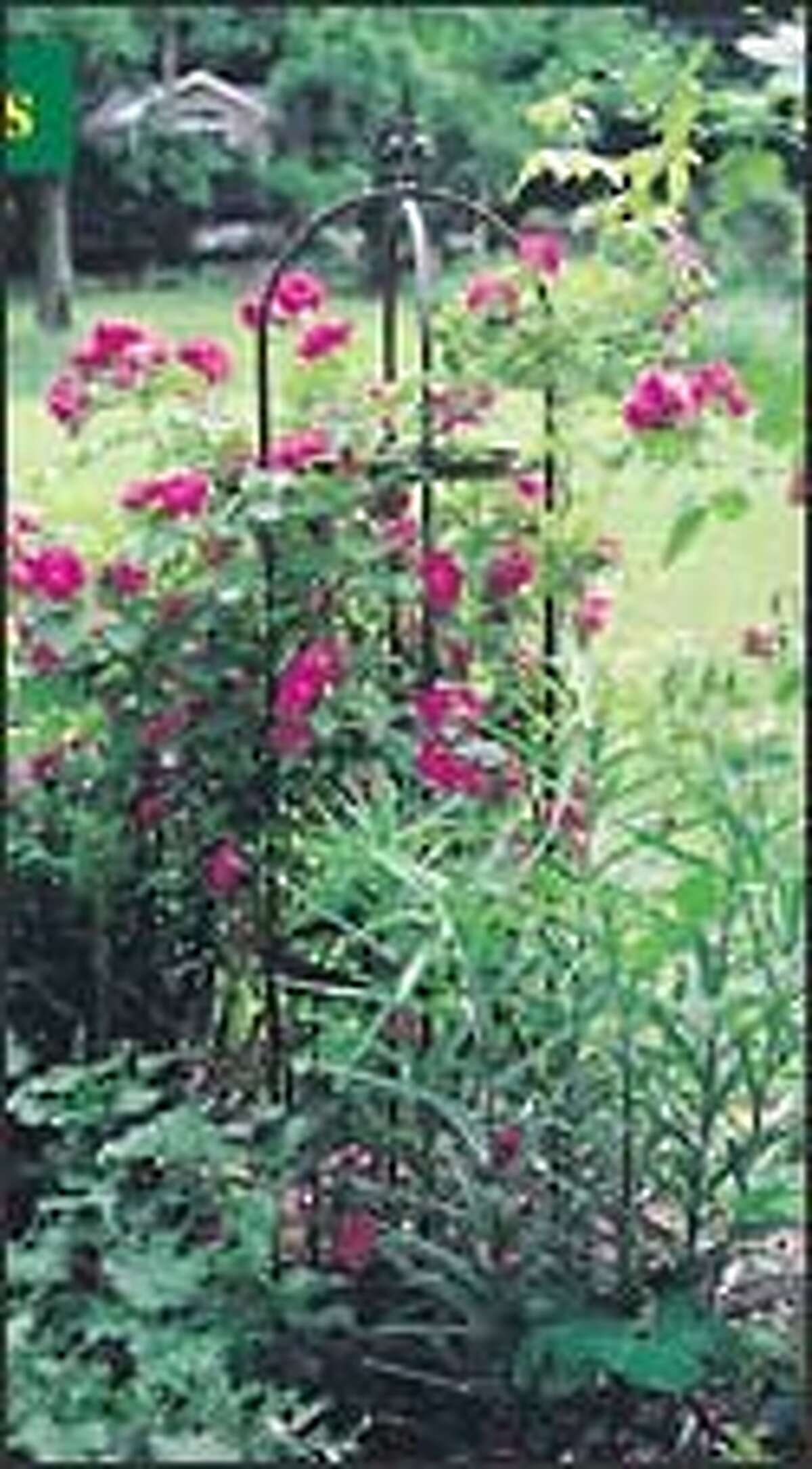 It's easy to get a handle on gift buying for gardeners