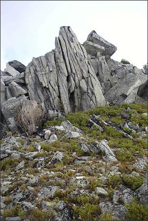 Hike of the Week: Rugged and thick with the stuff of legends