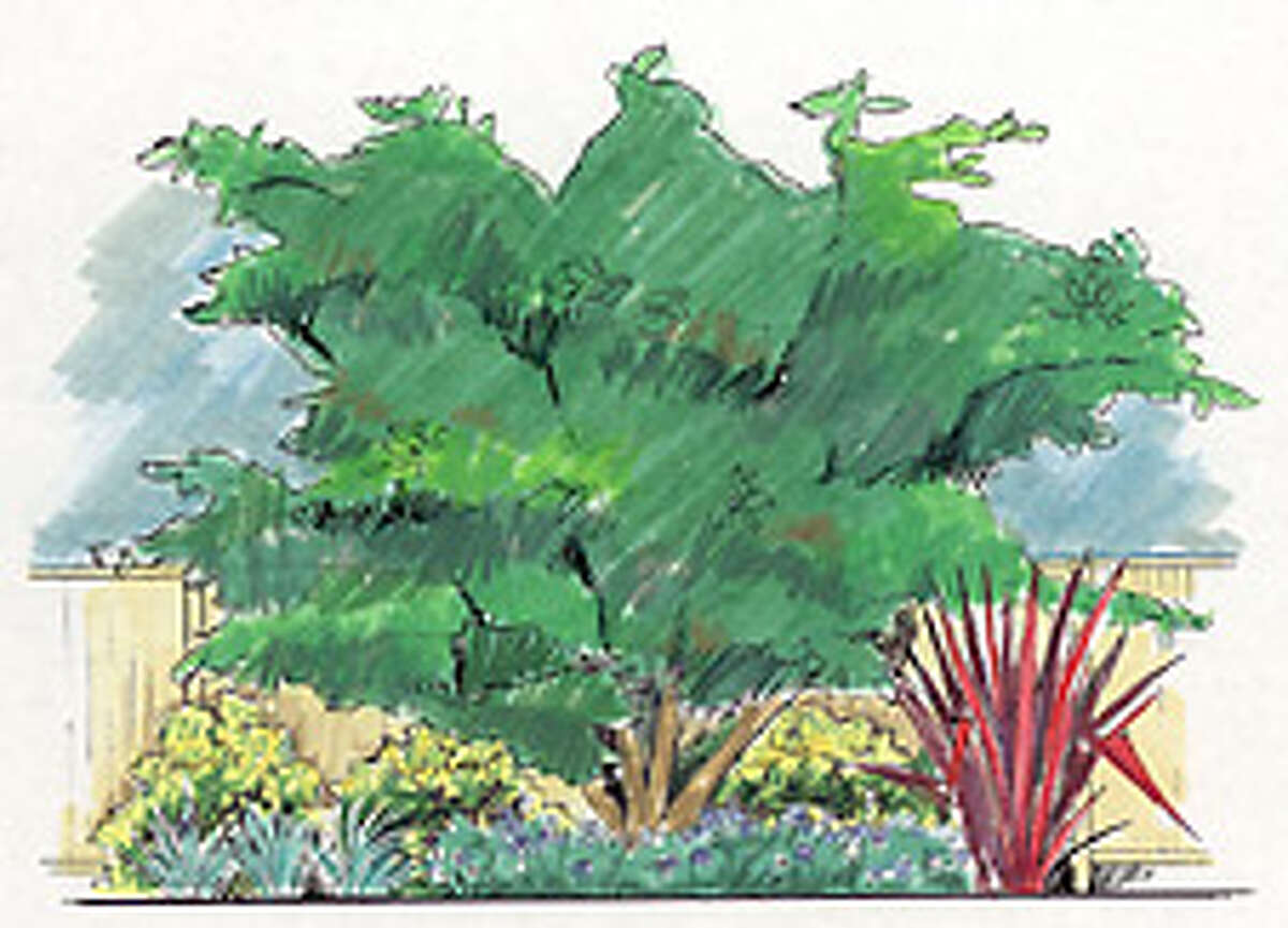 Shape your landscape with natural forms