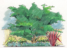 Shape your landscape with natural forms