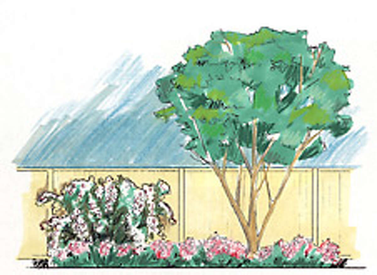 Shape your landscape with natural forms