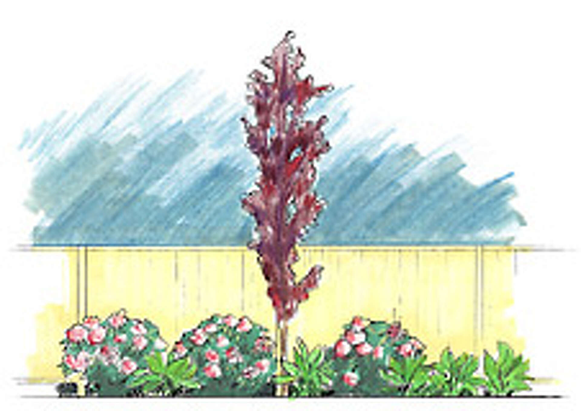 Shape your landscape with natural forms
