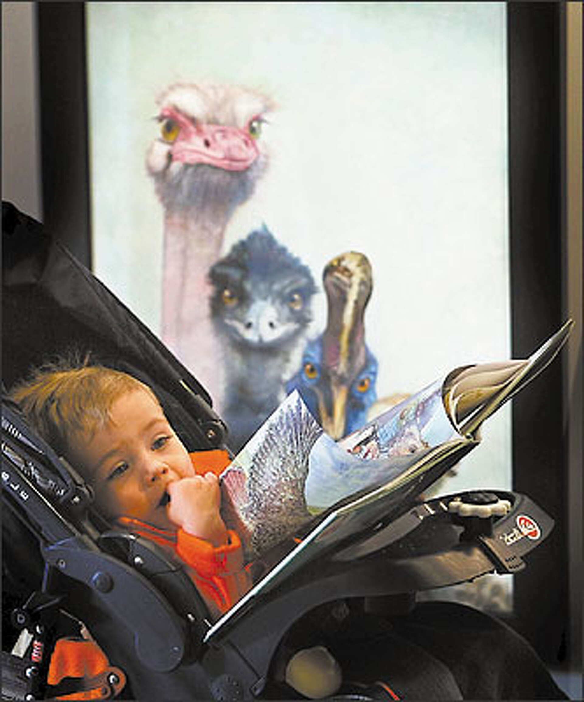 Innovative Seattle gallery mines a rich vein: children's book illustrators
