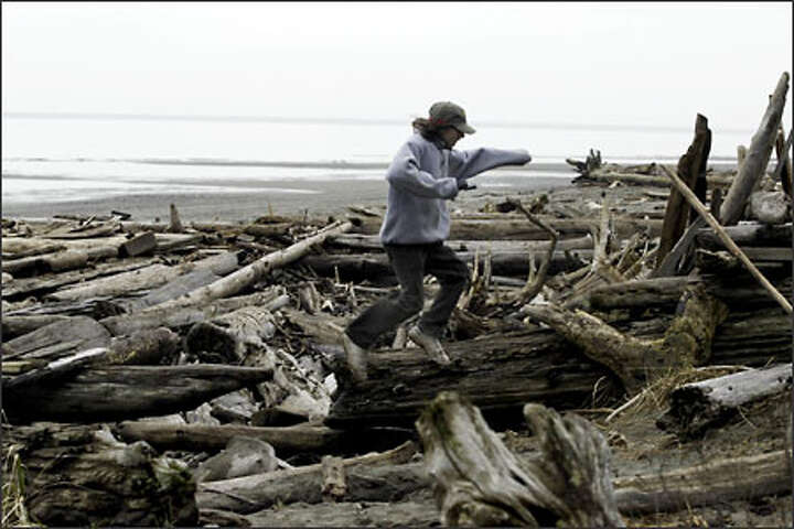 Seattle's 10 best beaches for exploring tide pools this summer
