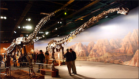 Short Trips: Leaping dinos! What a show of force