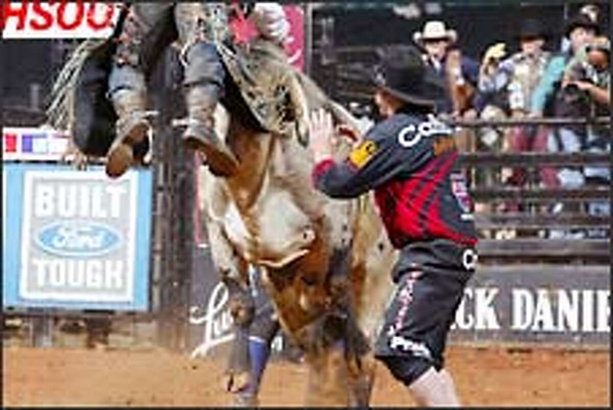 Real hombres get their kicks on pro bull-riding circuit