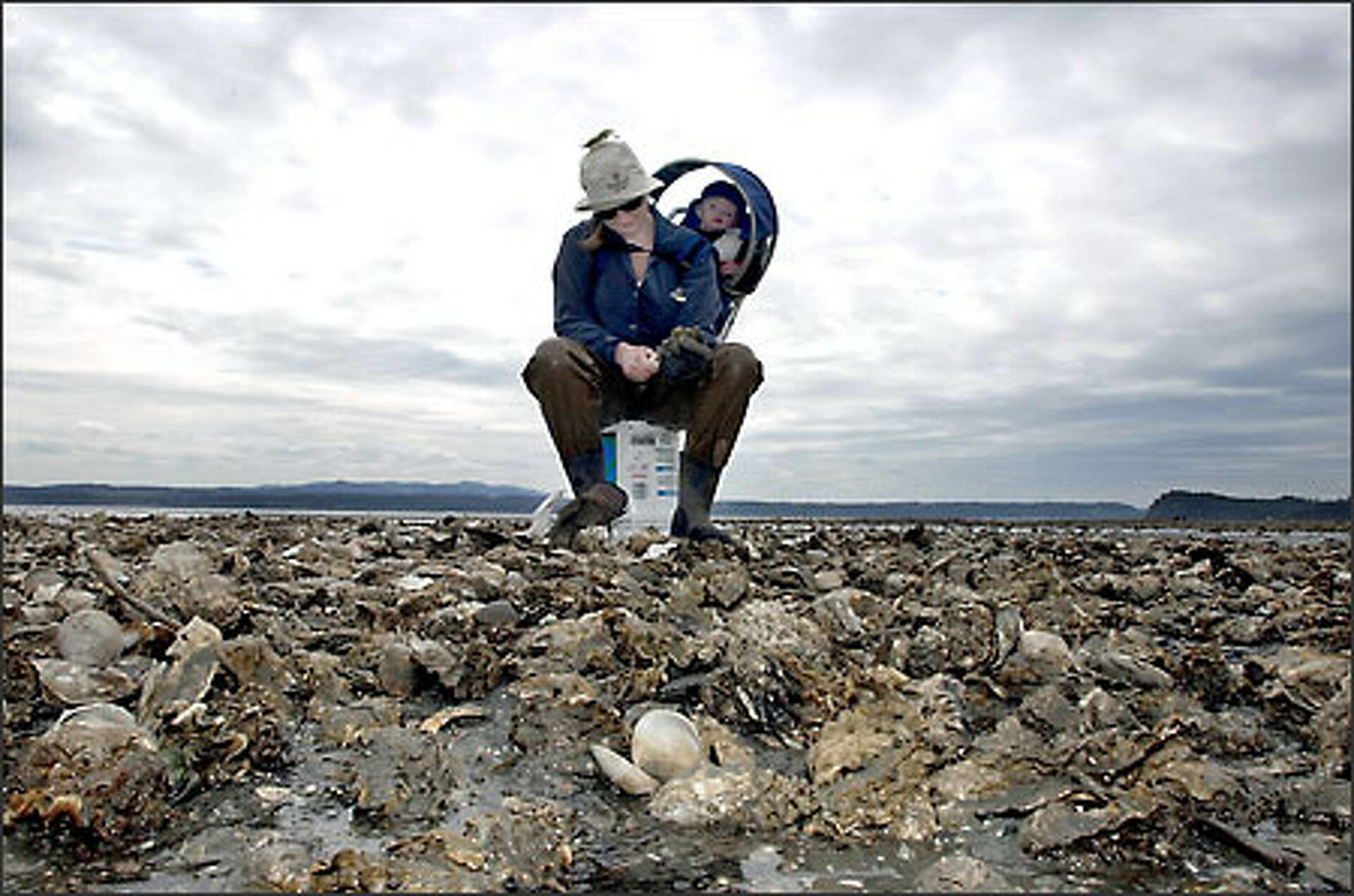 Slopping in the mud for sensational shellfish