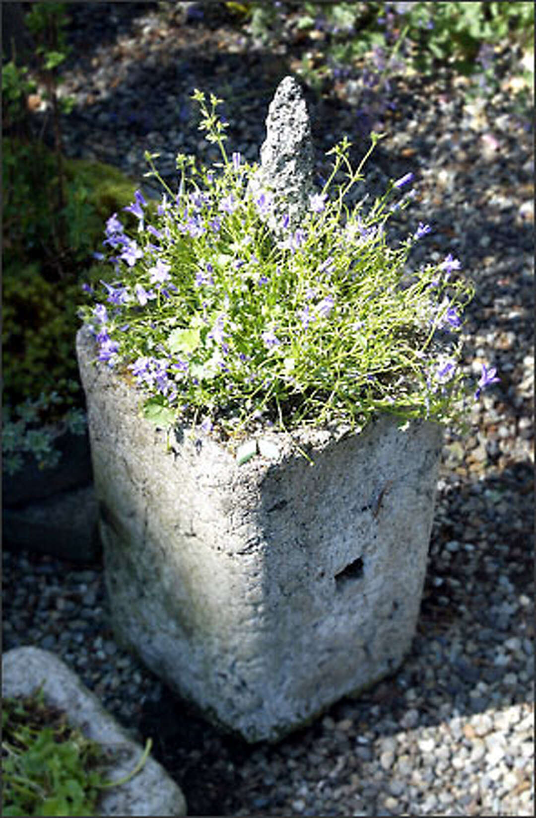 Try hypertufa for garden containers with instant character