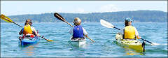 Kayaking south Puget Sound reveals a bounty of wonders