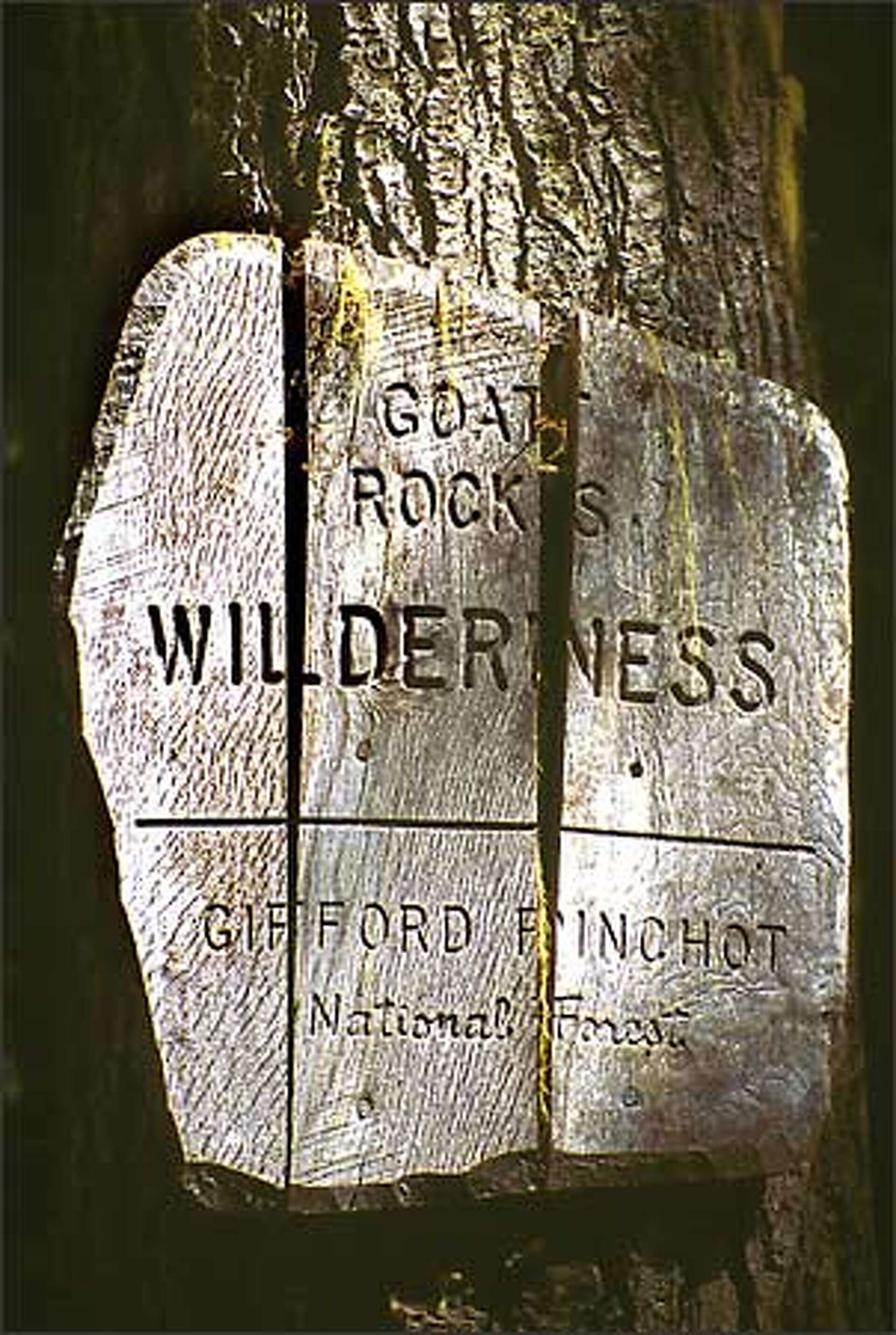 Goat Rocks: This wilderness area offers beauty and beasts