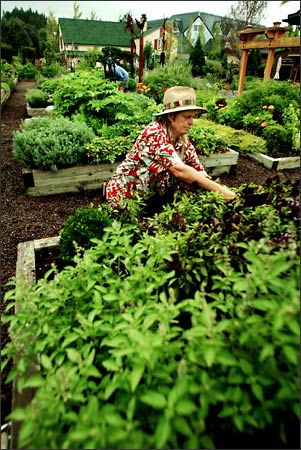 Gourmet meals start in the ground at The Herbfarm