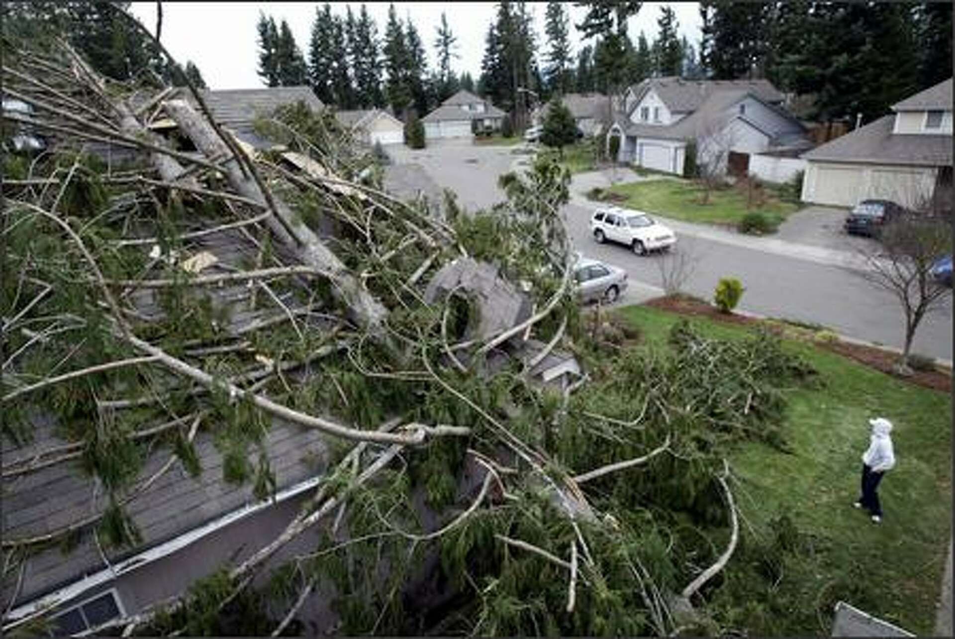 Windstorm pounds wide area
