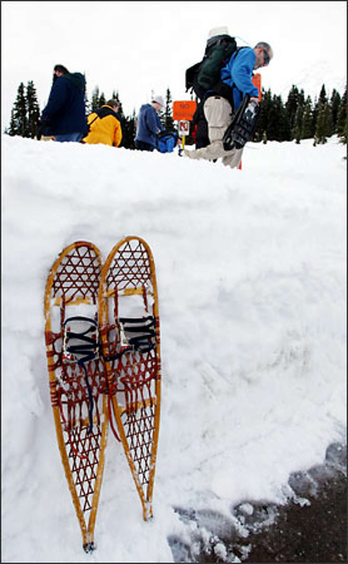 Learn to snowshoe with ranger-guided trips at Mount Rainier