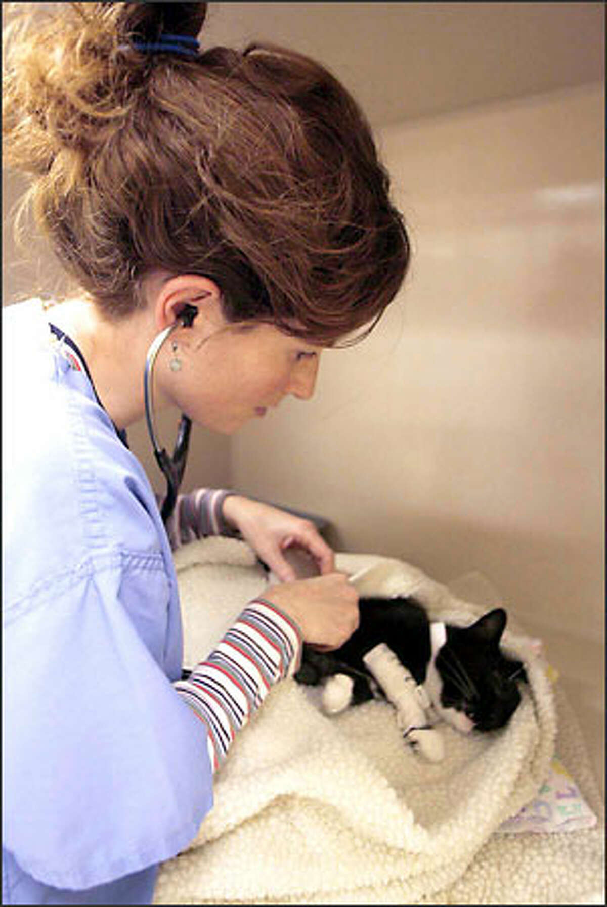 Animal hospital helps ailing pets around the clock