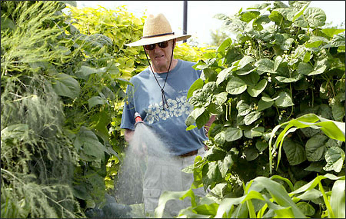 P-Patch's generosity in full bloom after 30 years