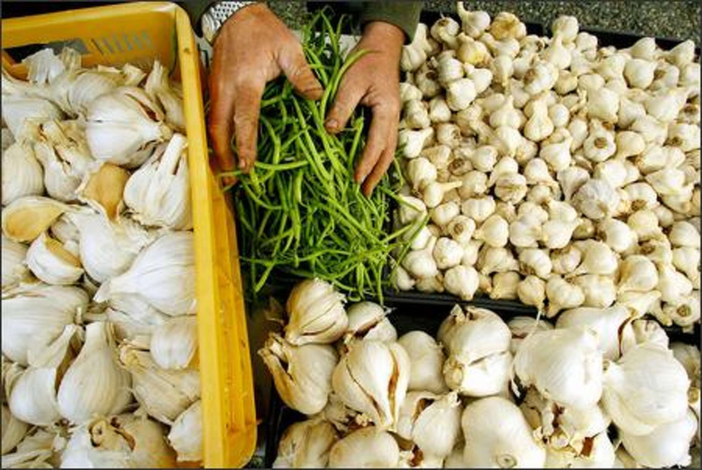 Farmer Bennett's singular produce sells itself