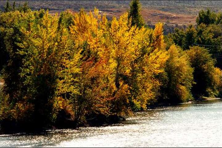 8 places to go river and lake floating around Seattle