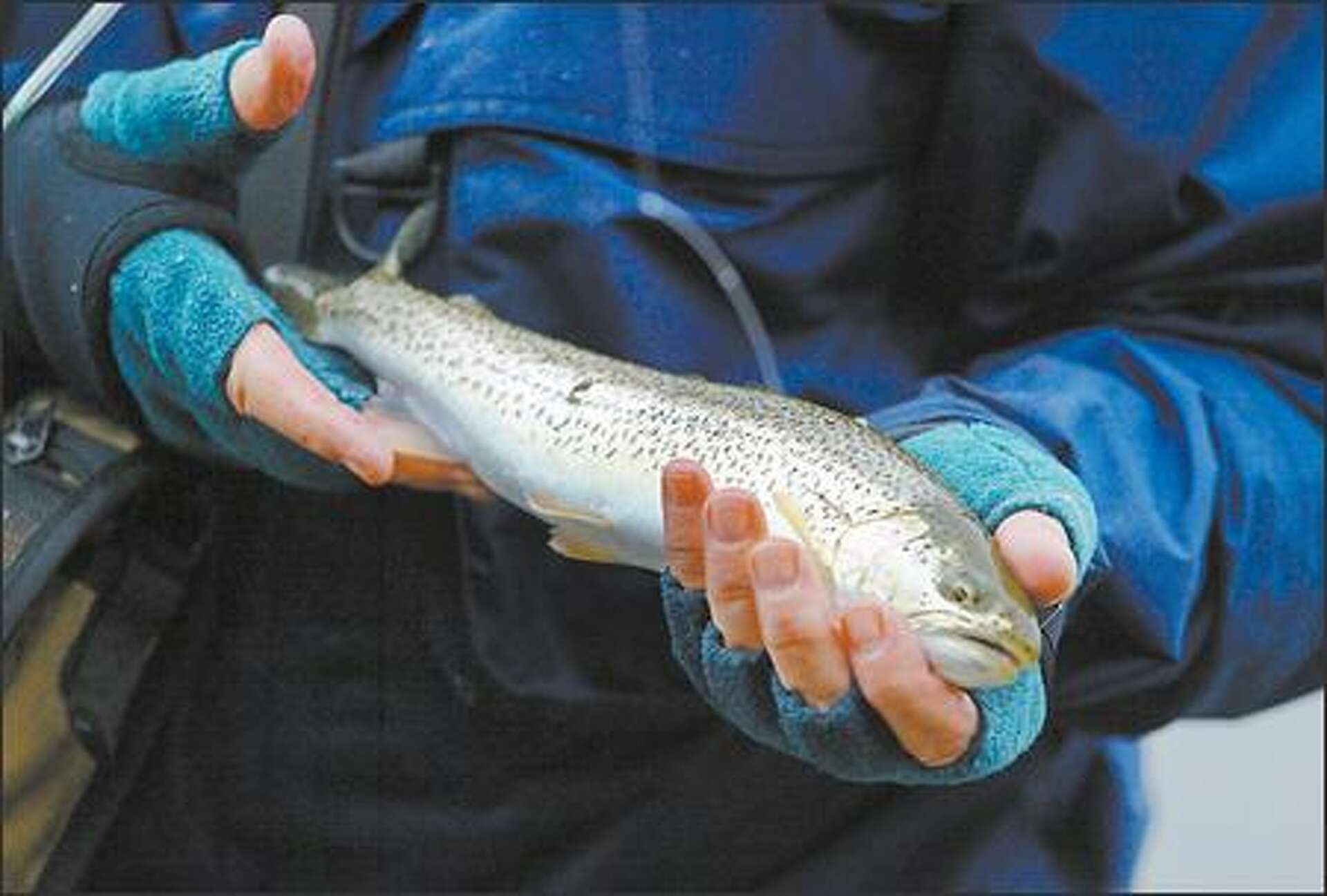 Beach fishing Puget Sound shorelines is a prescription for relaxation