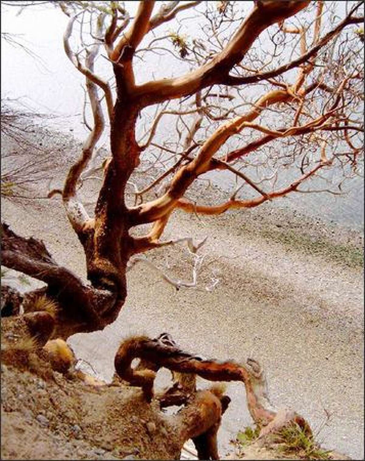 Hike Of The Week: Shoreline walks filled with wonders