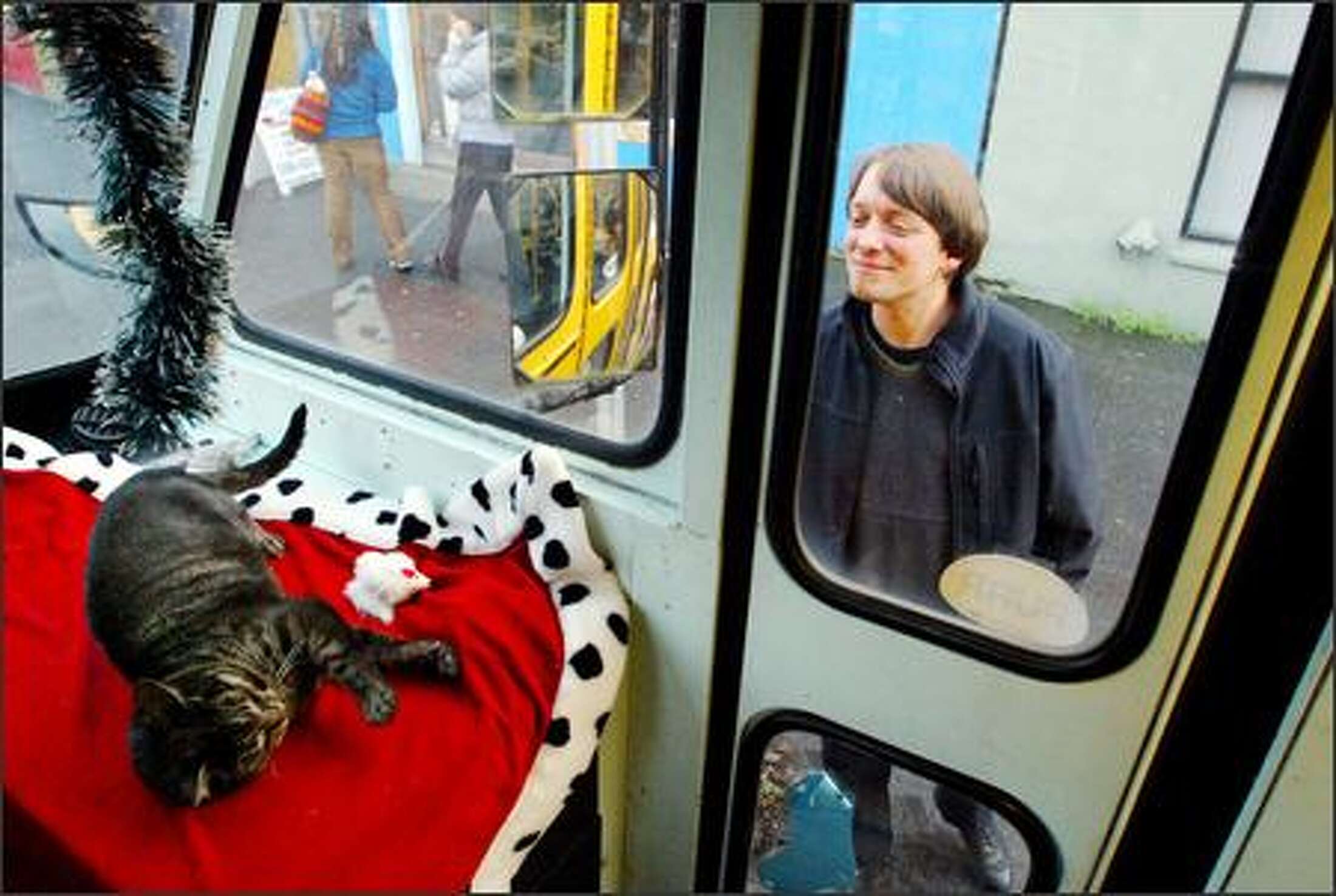Whiskers on Wheels: Cat-filled bus prowls the town for purr-fect homes