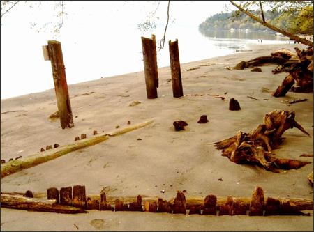 Hike Of The Week: Bring the family to this quiet, sandy spot