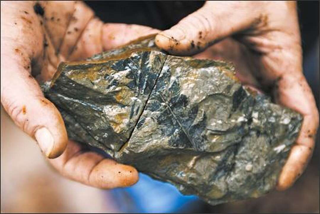 Fossil field trips turn back the clock millions of years