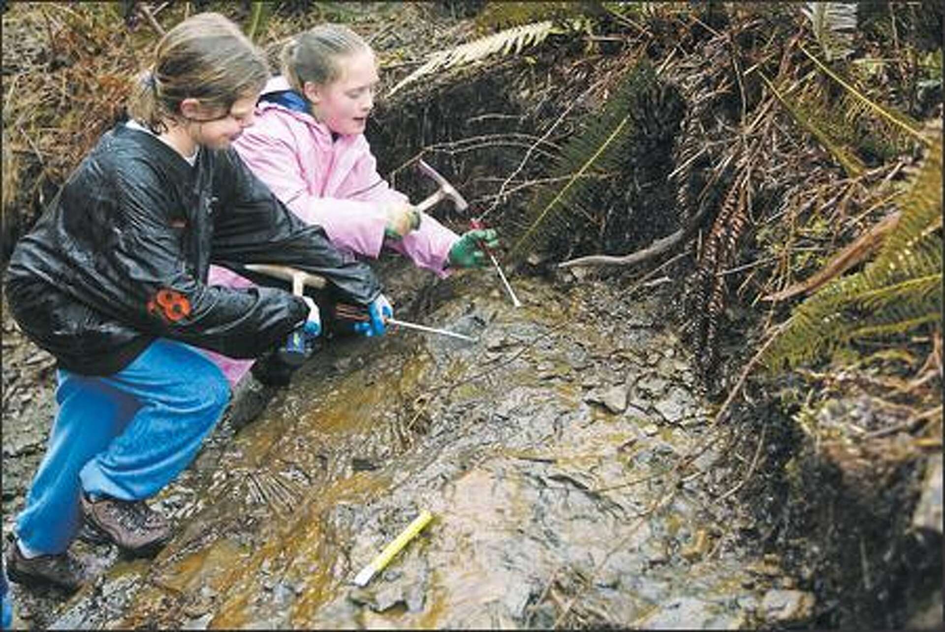 Fossil field trips turn back the clock millions of years