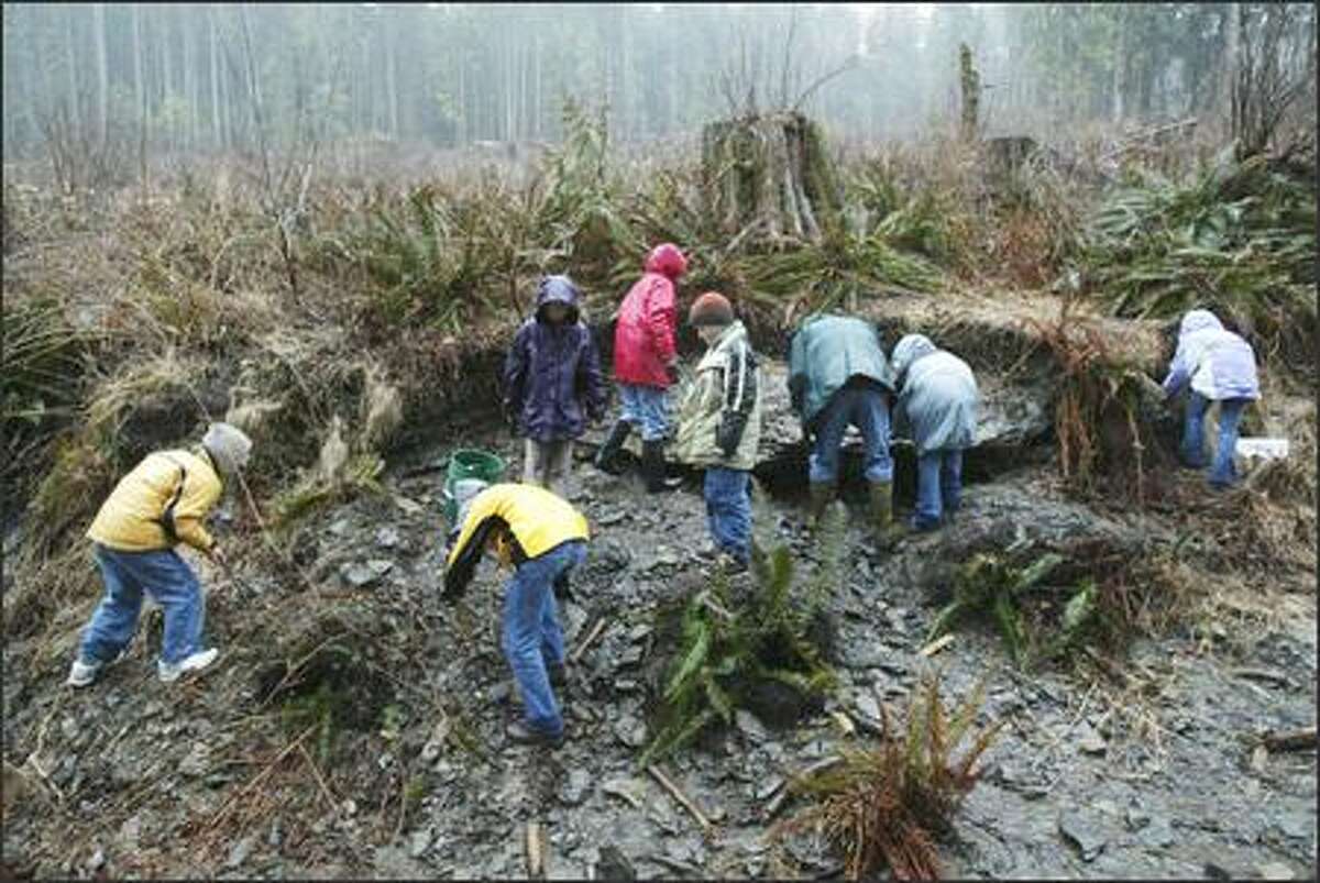 Fossil field trips turn back the clock millions of years