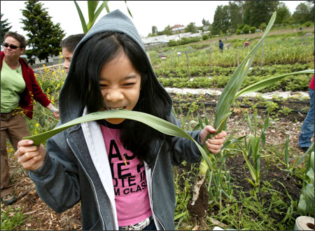 Marra Farm plants seeds for South Park community