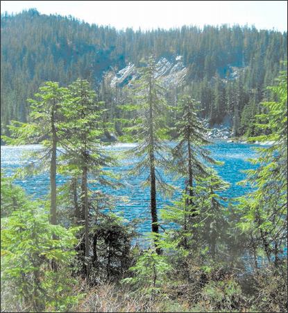 Hike Of The Week: So many routes to Alpine Lakes beauty