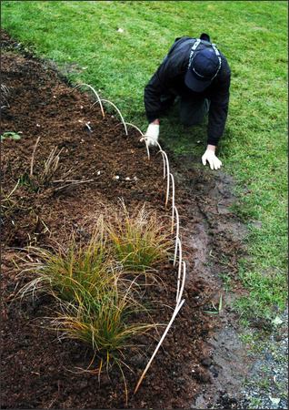 NW Gardens: When it's soaked, don't stomp around