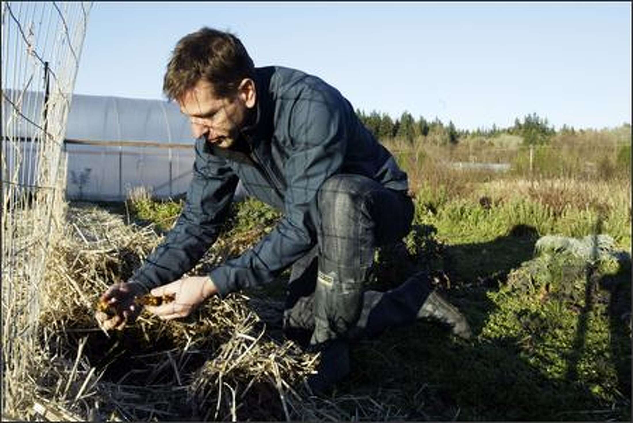 Cold, bleak winter? Not on their tables