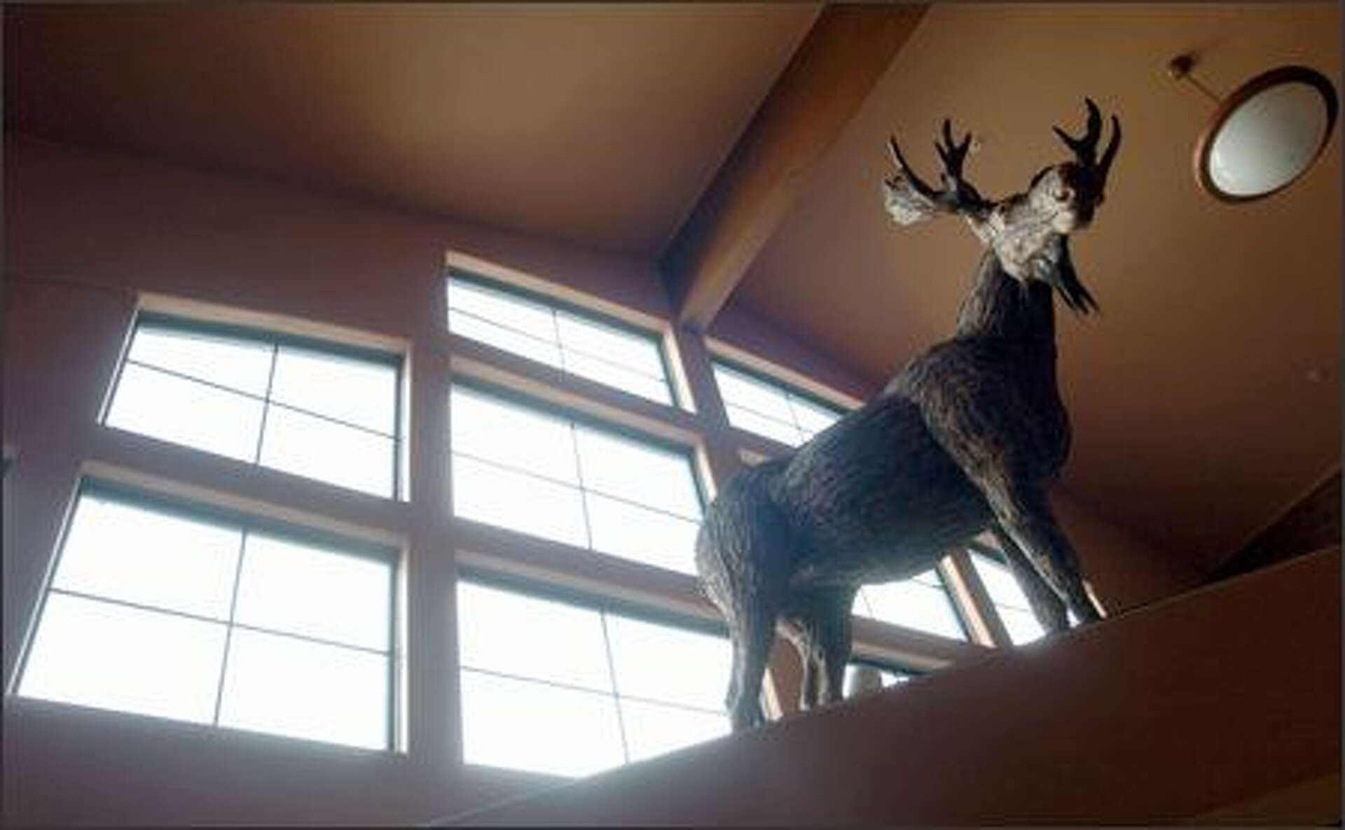 Killer was a 'gentle giant,' 'quick to anger'