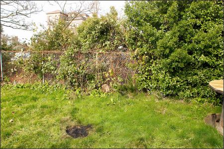 Garden Makeover: It was 'The Worst Yard on the Block'