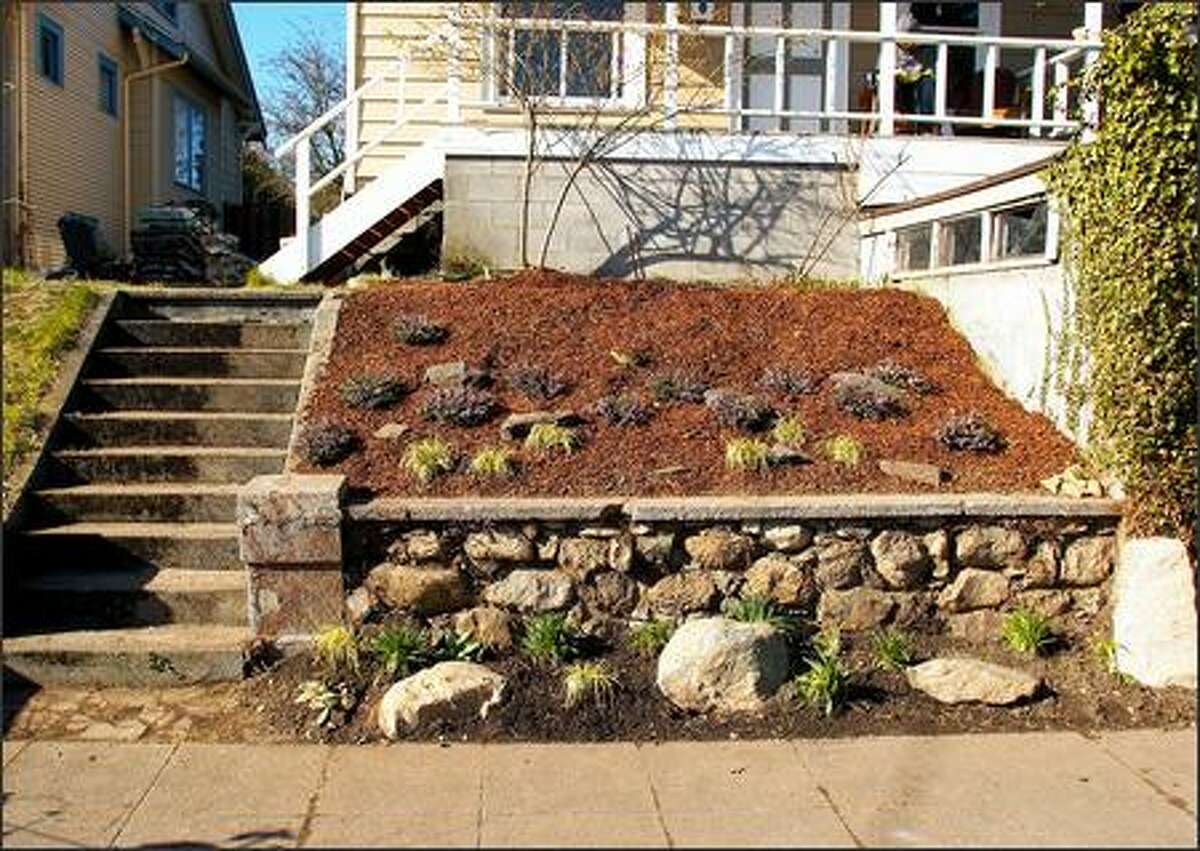 Garden Makeover: It was 'The Worst Yard on the Block'