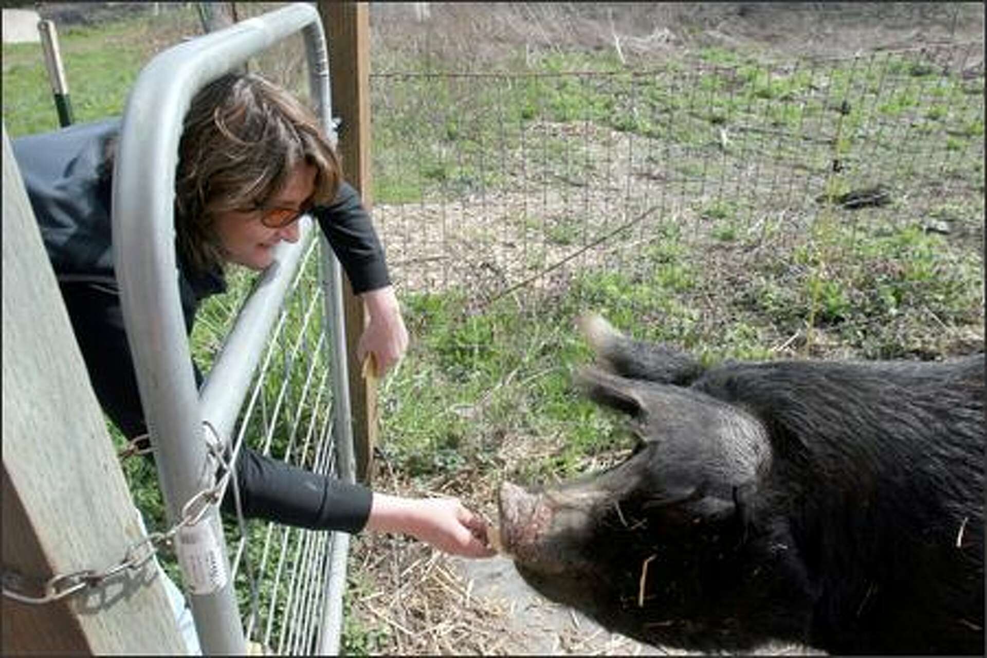 On Dining: It's a pig's life