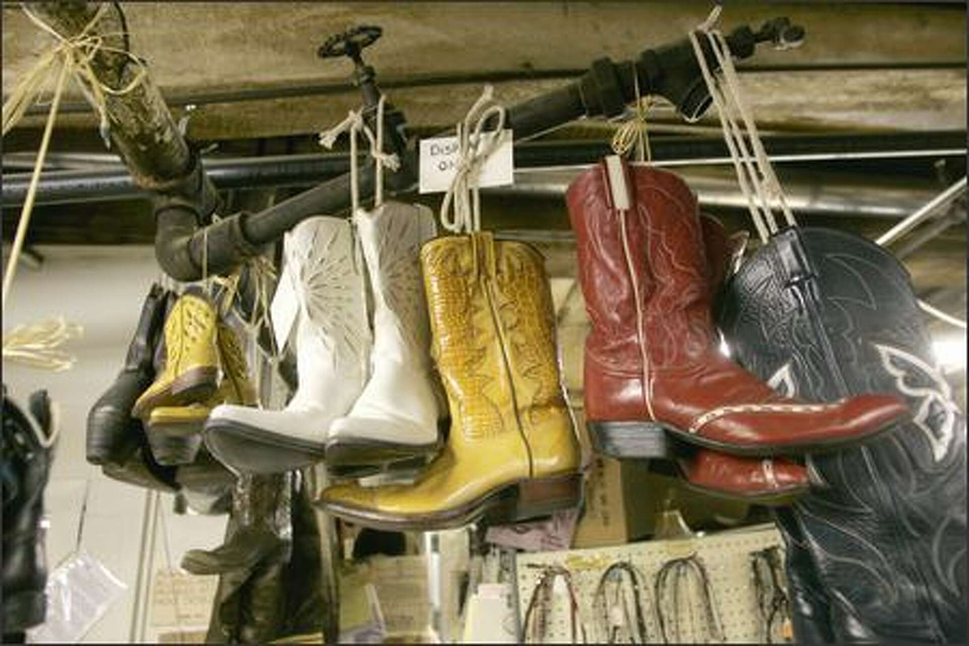 Seattle's Duncan & Sons still riding high