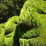 NW Gardens: Have a little fun with those Felcos: Topiary lets you trim ...