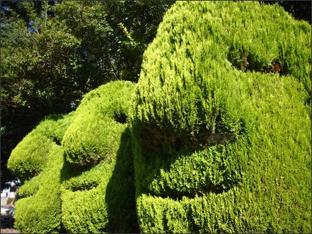 NW Gardens: Have a little fun with those Felcos: Topiary lets you trim ...