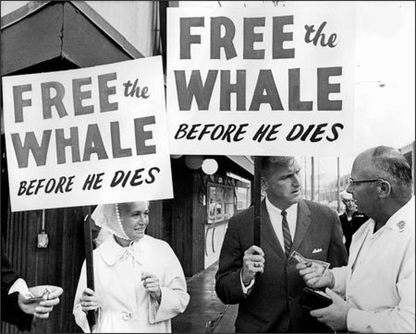 Granny's Struggle: A black and white gold rush is on