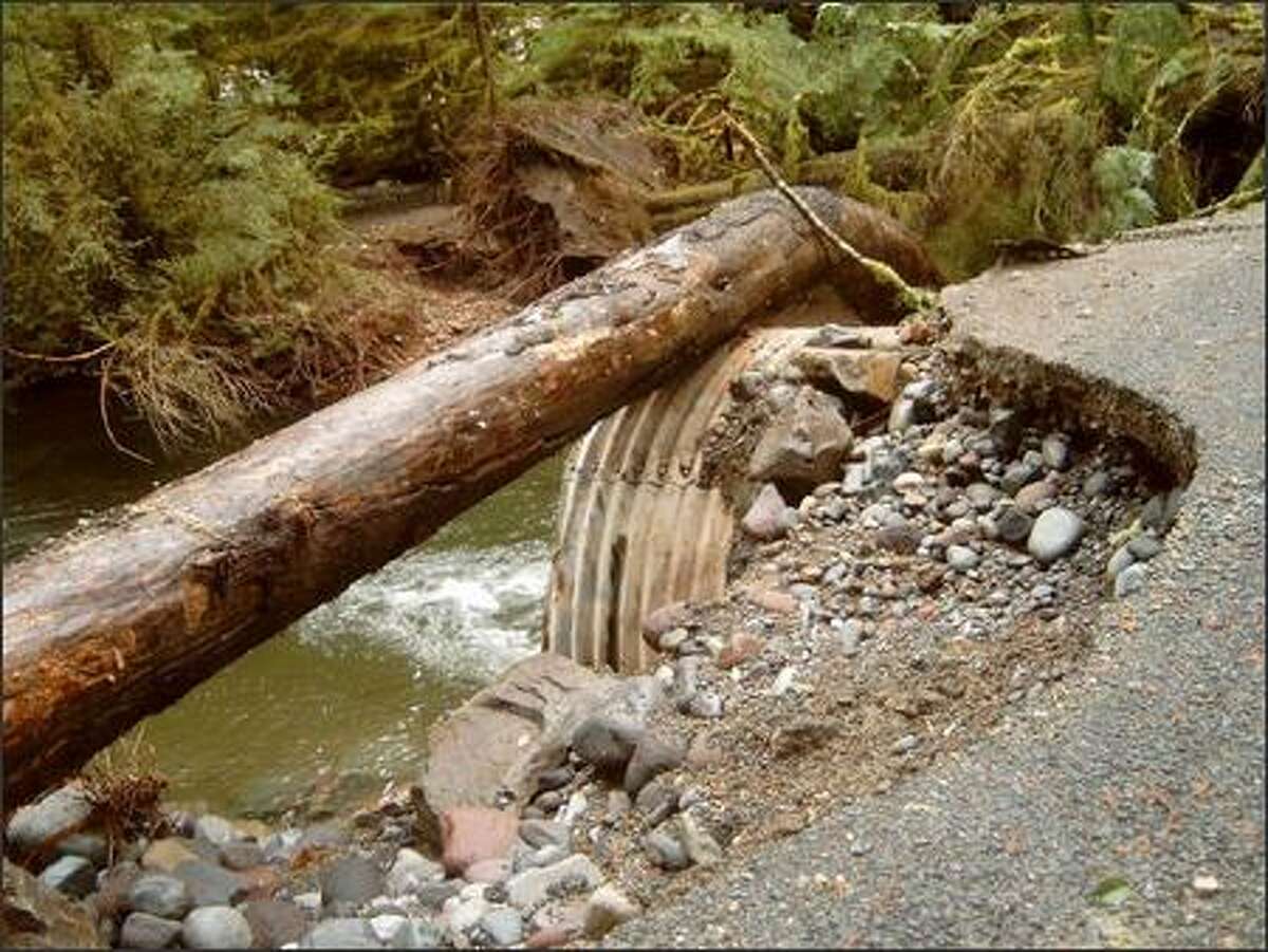 Hike Of The Week: An up-close look at Mt. Rainier's flooding