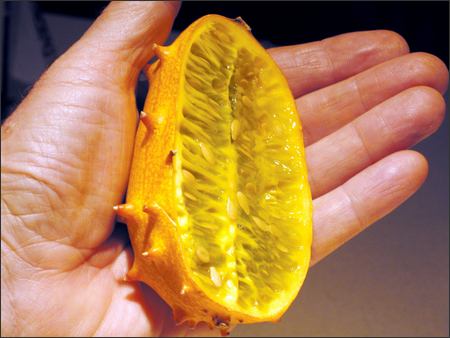 Good Enough to Eat: Odd fruits flunk their tryout