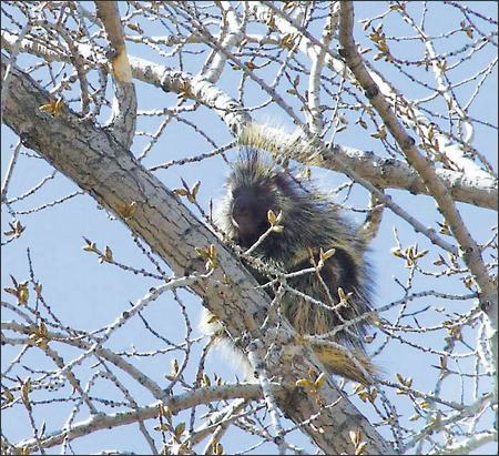 Hike Of The Week: A walk on the mild side east of the mountains