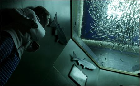 Aquarium's new Window on Washington travels into the depths of Puget Sound