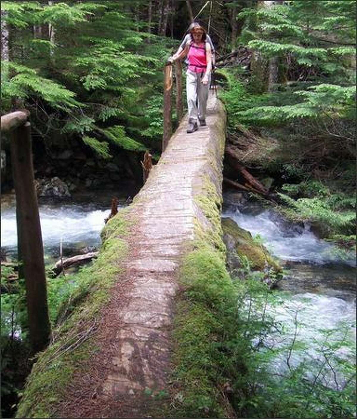 Hike Of The Week: Middle Fork Road's views are the ultimate payoff